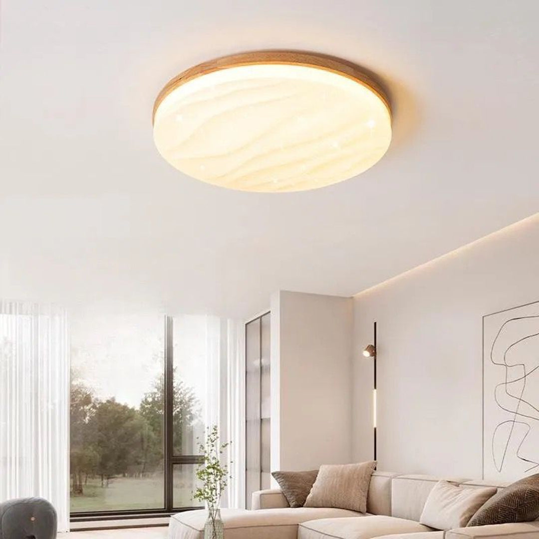 Modern Acrylic Plastic Panel Light Ceiling Lamp Led Ceiling Light